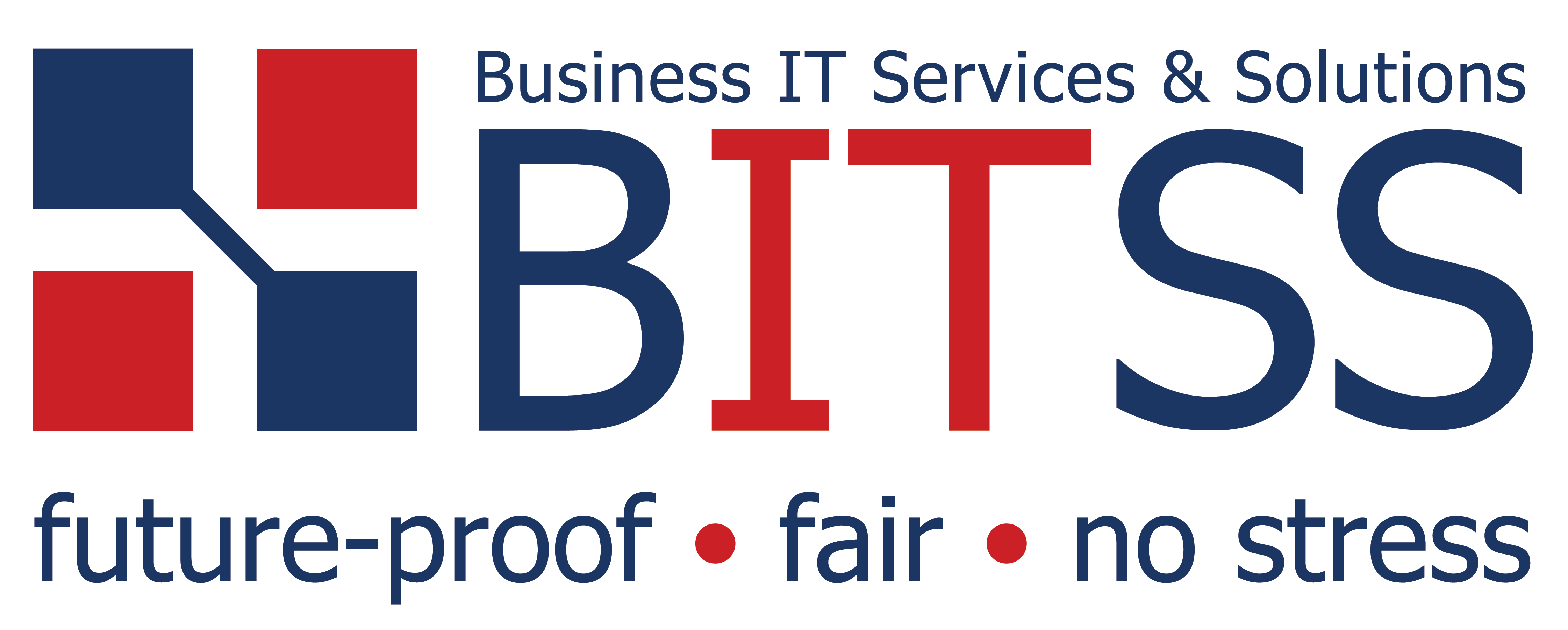 bITss | Senior System Engineer